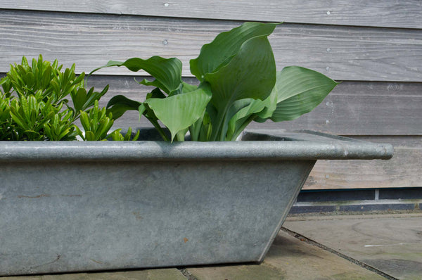 Galvanised zinc trough – relishlifestyle